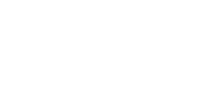 The Fly Five Curriculum—Your Academic+SEL Solution for Student Success